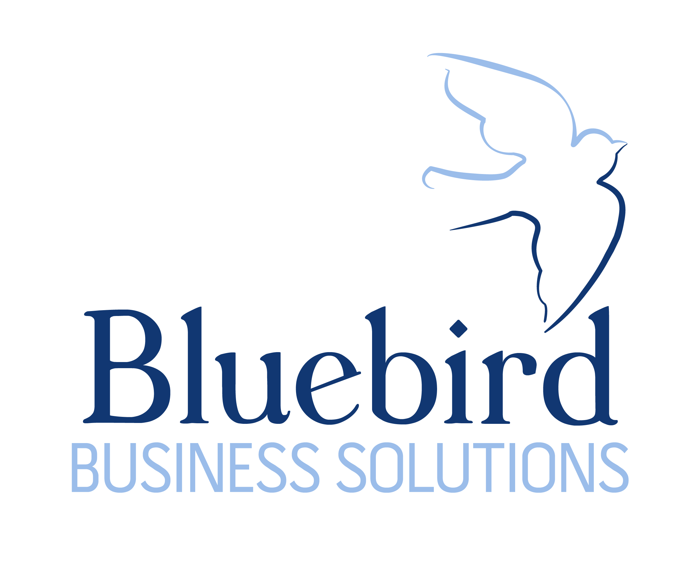 ABOUT | Bluebird Business Solutions LLC